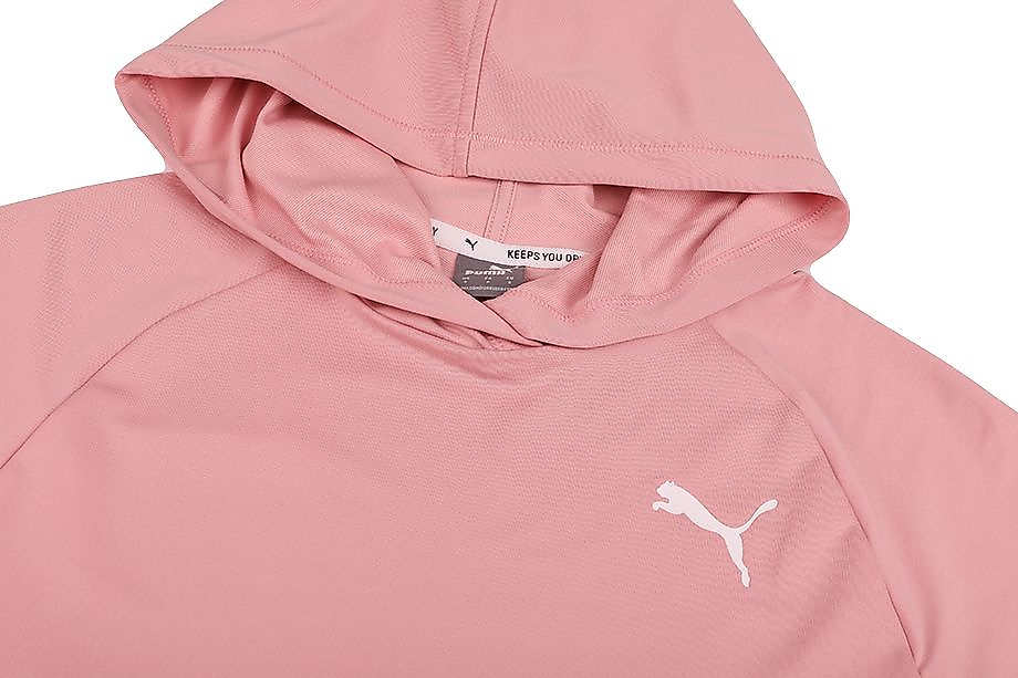 PUMA Mikina Dámska Active Hoodie 586858 80